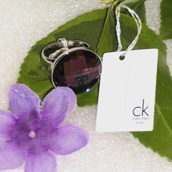 Calvin Klein | Jewelry | Calvin Klein Purple Continuity Ring New Sz6 ...